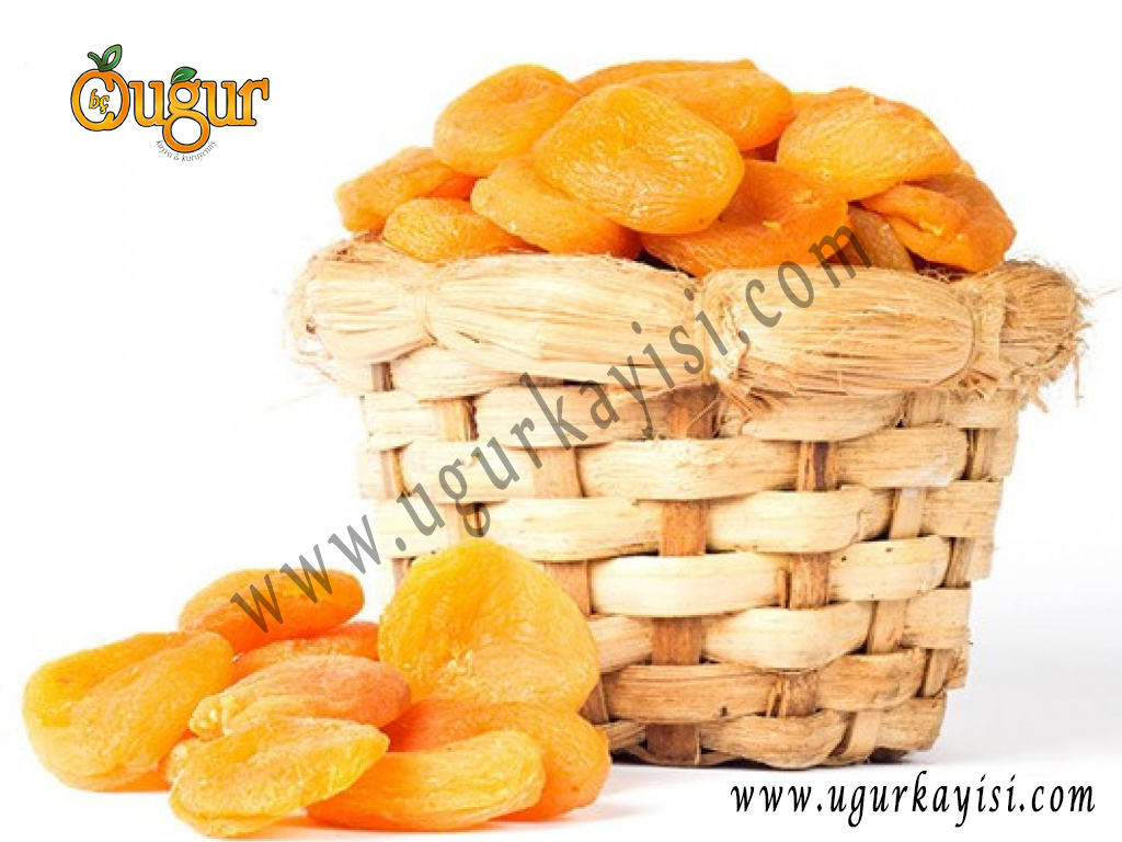 KURU KAYISI | UĞUR KAYISI - MALATYA